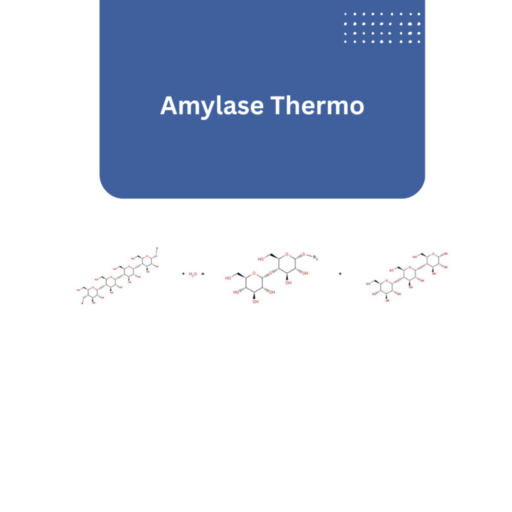 Amylase Thermo - ASA Spezialenzyme GmbH