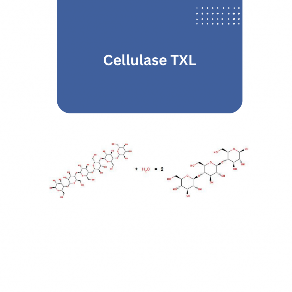 Cellulase TXL - ASA Spezialenzyme GmbH