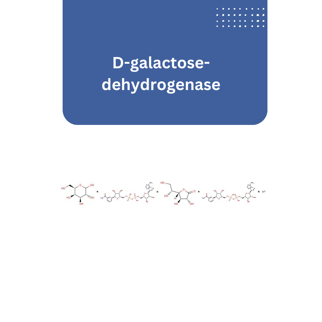D-galactose-dehydrogenase - ASA Spezialenzyme GmbH