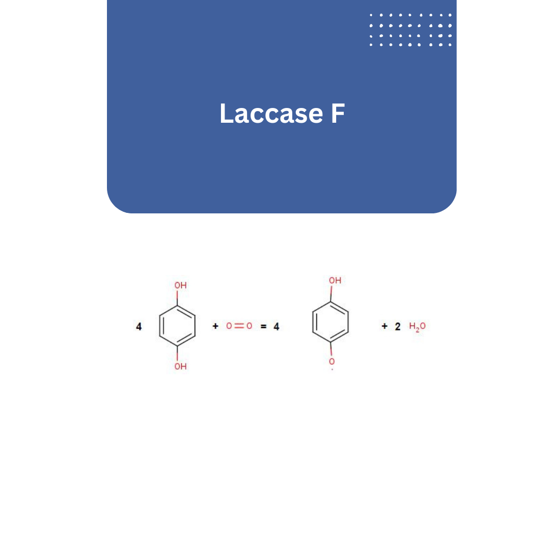 Laccase F - ASA Spezialenzyme GmbH